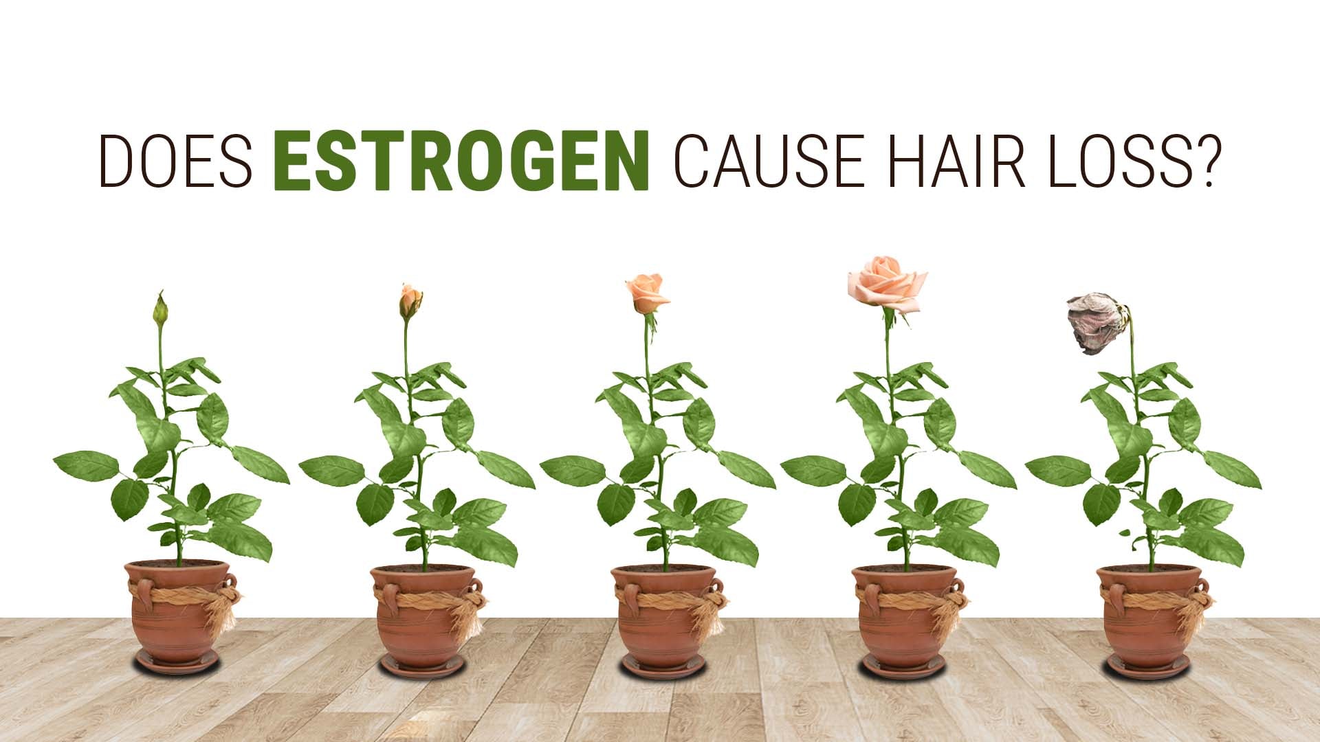Does Estrogen Cause Hair Loss? – Theradome