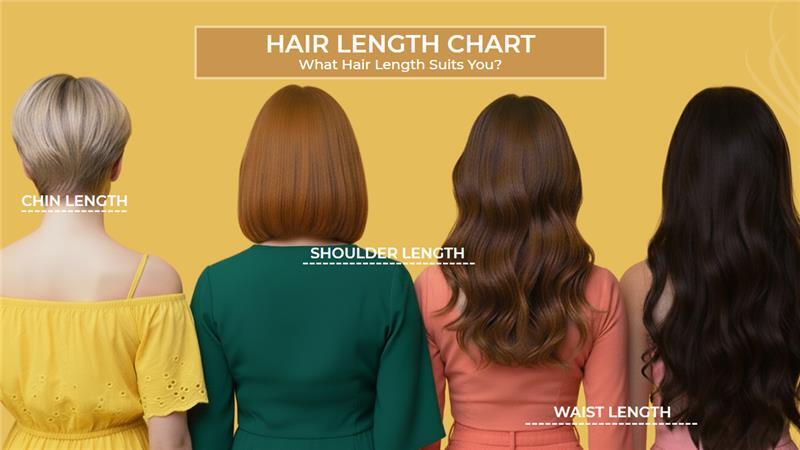 Hair Length Chart What Hair Length Suits You Theradome